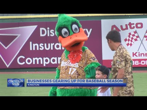 Wood Ducks impact on Kinston