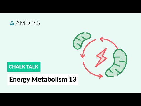 Energy Metabolism - Part 13: Fatty Acid Synthesis with molecular structures