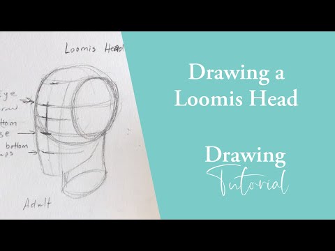Drawing Head Proportions – Mrs. Miller – Messy Art Teacher Blog
