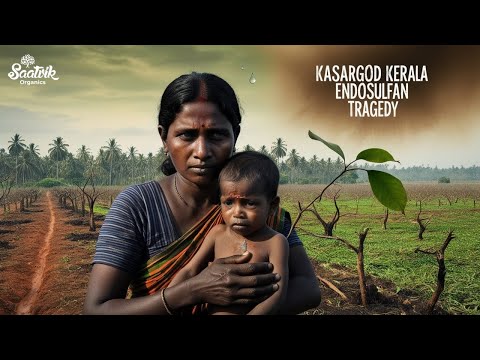 Kasaragod Kerala Endosulfan Tragedy: Impact & Hope for Organic Farming
