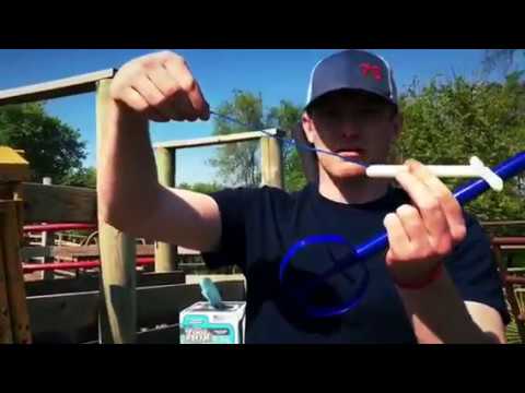 CiDR Application