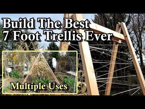 How to Quickly Build a Multi-Use 7 Foot Garden Trellis on a Budget - Perfect for Beans or Melons