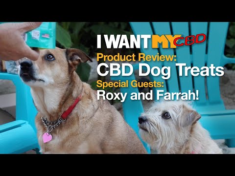 I WANT MY CBD: Dog Treats Review