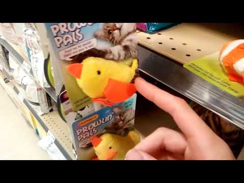 What sounds do fish make?