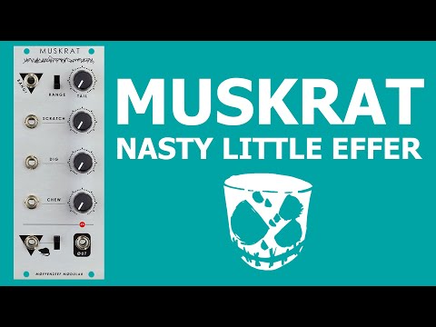 Moffenzeef Modular MUSKRAT with SOUND EXPANSION CHIPS | Reverb