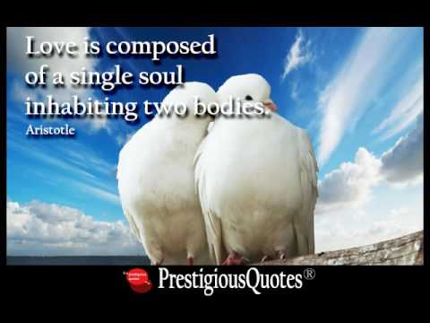 Love Quotes