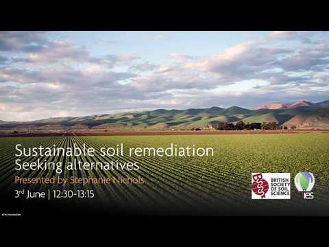 IES Webinar: Sustainable soil remediation: Seeking alternatives