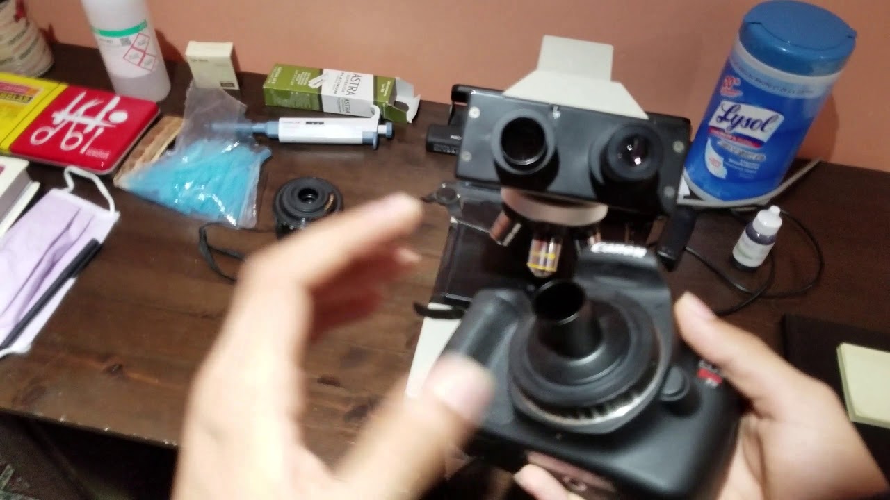 Lab Basics: Microscope Camera