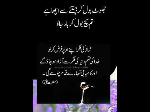 Hazrat Alli Quotes || Quotes about Namaz || Aqwal E Zaree || Sirat E Mustaqeem #viral #shorts