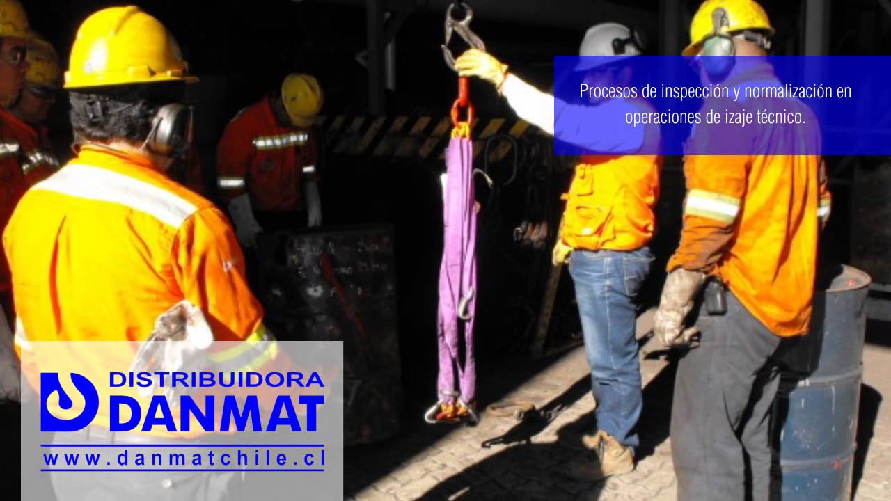 Distribuidora Danmat Chile E I R L