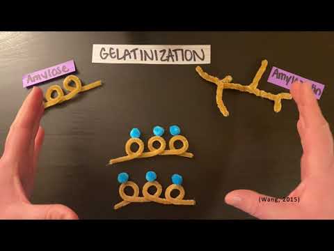 Starch Retrogradation