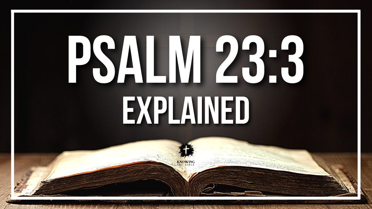 PSALM 23:3 Explained - What Does The Bible Verse PSALM 23:3 [KJV] REALLY Mean?