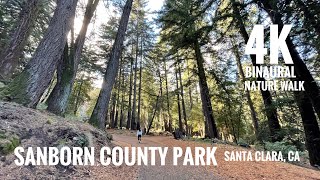 3 Best Hiking Trails in Santa Clara, CA - Expert Recommendations