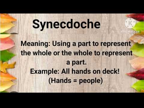 What is Synecdoche? | Full Explanation in Punjabi #mastercadreenglish
