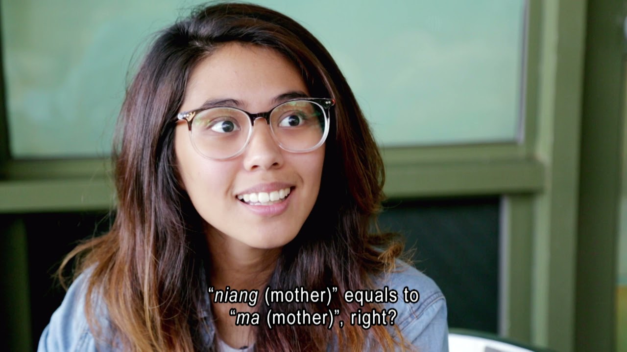 Bachelor of Arts (Honours) in Teaching Chinese as a Second Language