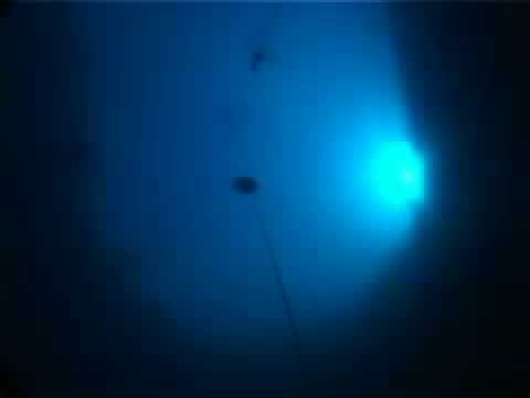 Freediving – how many minutes does an extreme depth dive take ...