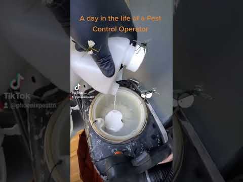 A day in the life of a Pest Control Operator 9 #whatbugsme | Phoenix Pest Control