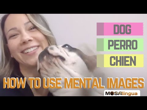 🧠 4 Ways to Create Mental Images that Improve Your Memorization [VIDEO ...