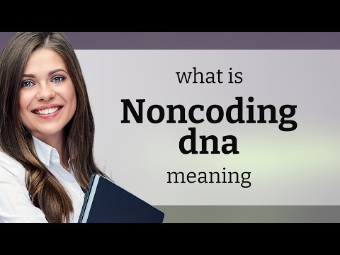 Noncoding dna — NONCODING DNA definition