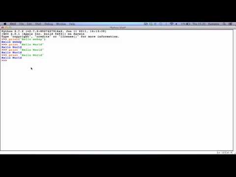 Learn Python Online Tutorial Course For Beginners | 4Programmer