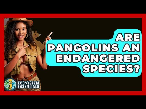 Are Pangolins An Endangered Species? - Ecosystem Essentials