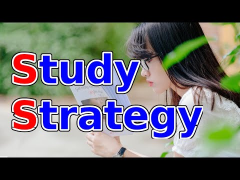What is the meaning of strategy in Tamil | Success spotu