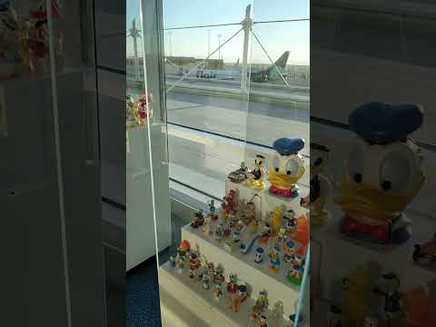 Suddenly Disney Airport