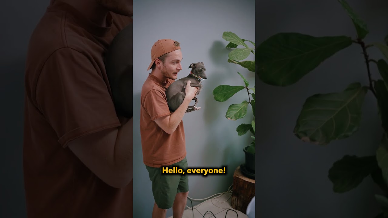 If your dog could talk