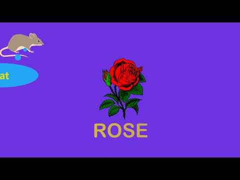 5 most important words start with R || ABCD || R for Rose