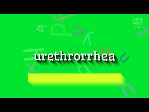 How to say "urethrorrhea"! (High Quality Voices)