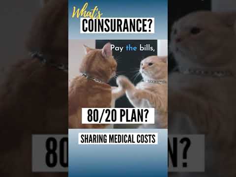 What is Coinsurance? | Cats Explain Health Insurance
