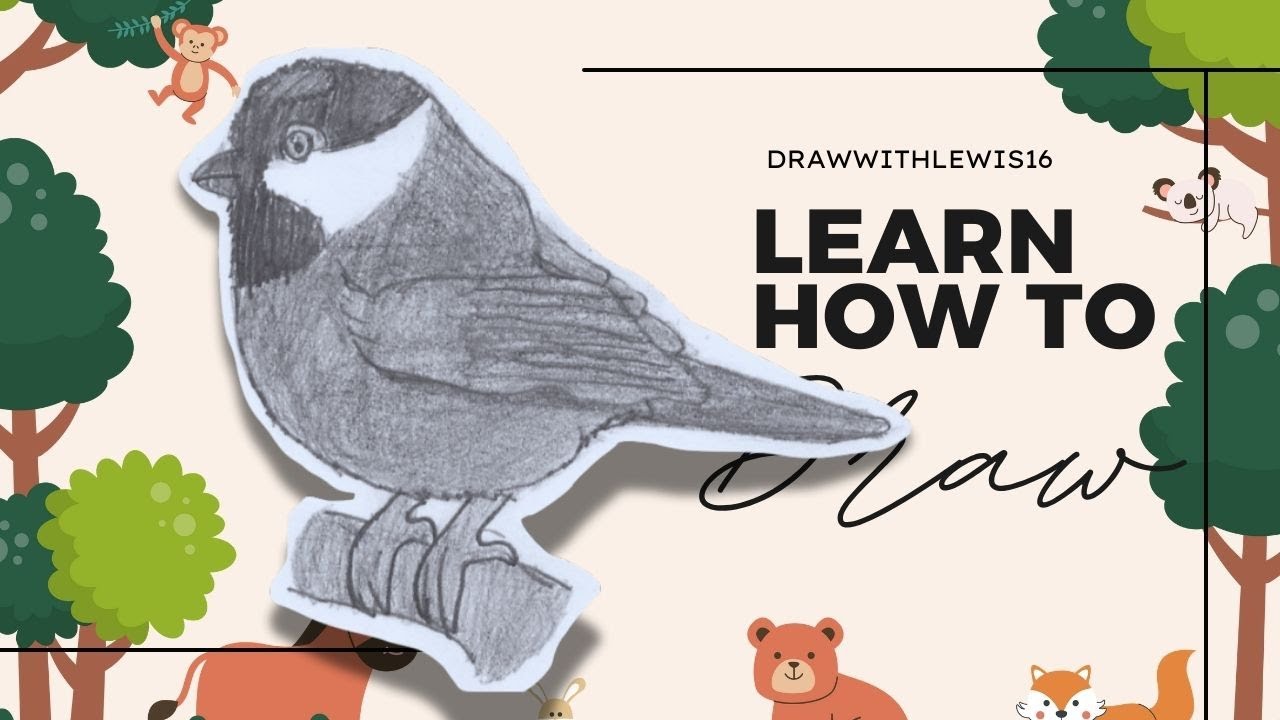 HOW TO DRAW A CHICKADEE - KIDS VERSION | STEP BY STEP BASICS EASY DRAWING | PENCIL SKETCH