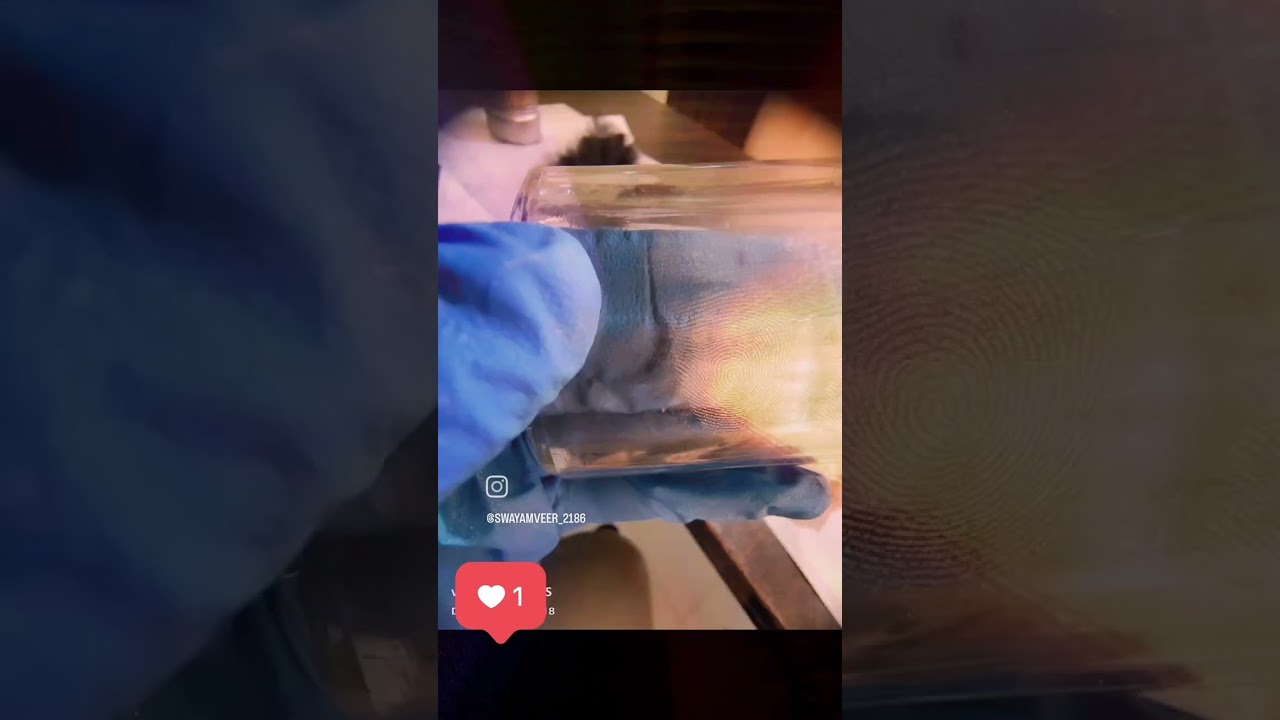 forensic fingerprint video