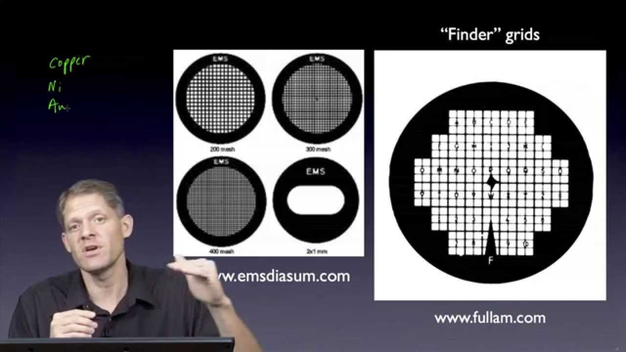 Part 4: Sample Prep: Grids - G. Jensen