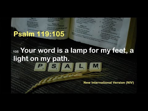 Verse of the Day - Psalm 119:105