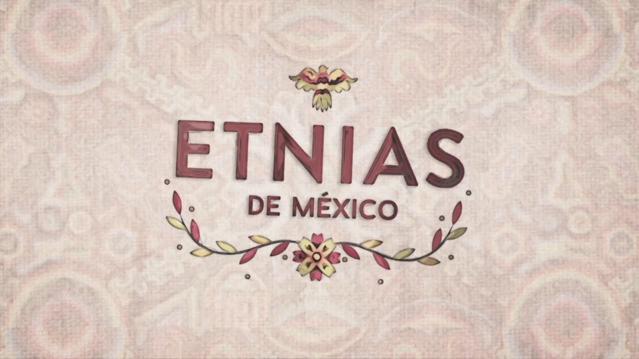 Etnias de México - Mayos
