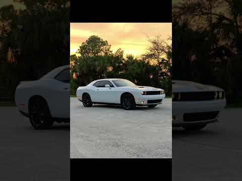 Starting a private rental car company was my best decision.