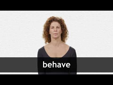 BEHAVE 释义 | 柯林斯英语词典