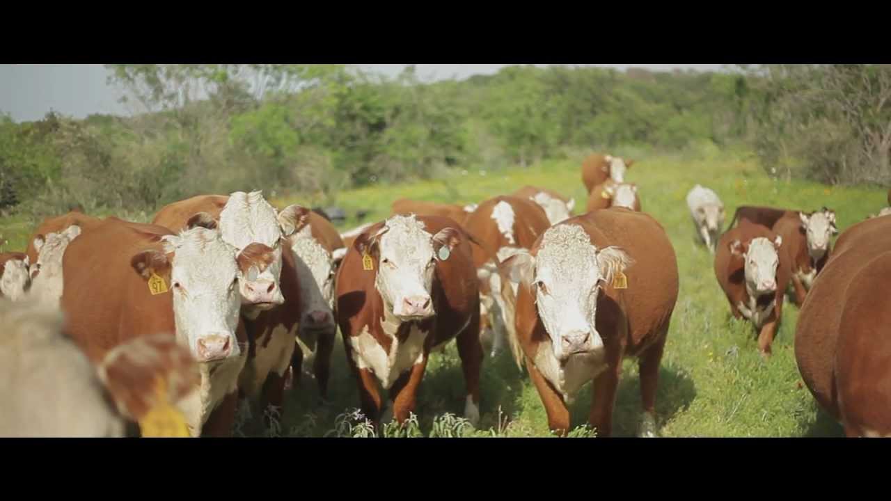 Protecting the Nature of Texas
