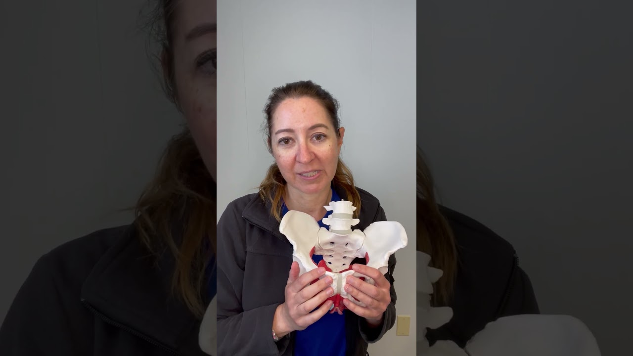 What is Pubic Symphysis Dysfunction?