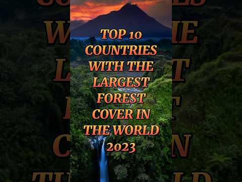 Top 10 Countries With The Largest Forest Cover In The World 2023
