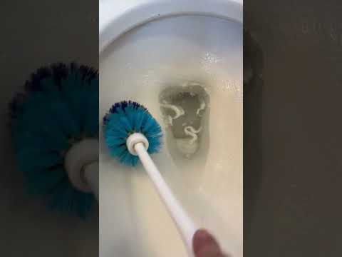 Stubborn toilet bowl ring? I’ve got the magic solution! Bar keepers friend! #cleaningbusiness #clean