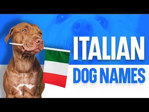 Italian Dog Names