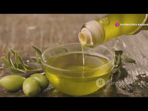 The Olive Tree Symbol of Peace and Hope