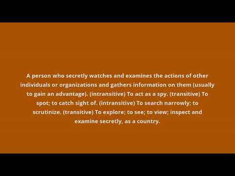 what is the meaning of spy