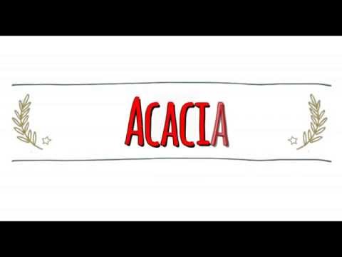 American vs Australian Accent: How to Pronounce ACACIA in an Australian or American Accent