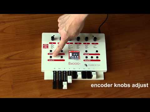 Ferrofish B4000+ Hammond B3 sim expander module | Reverb