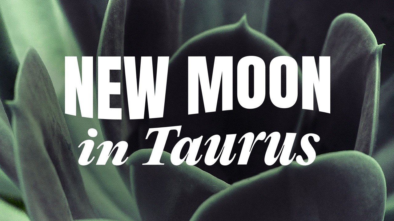 🌑 Taurus New Moon Ritual - Grounding You in What Truly Matters