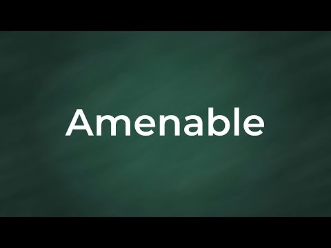 Amenable : Definition, Pronunciation, Examples, Synonyms