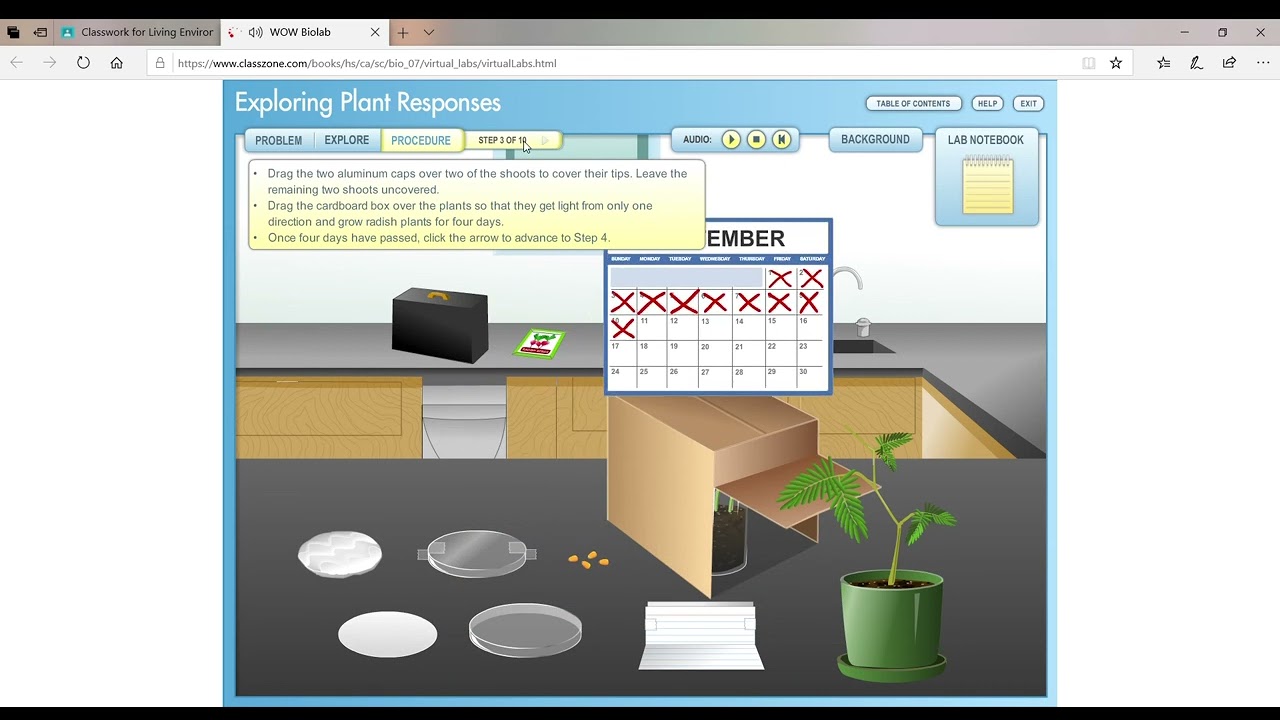 Virtual Lab  Exploring Plant Responses